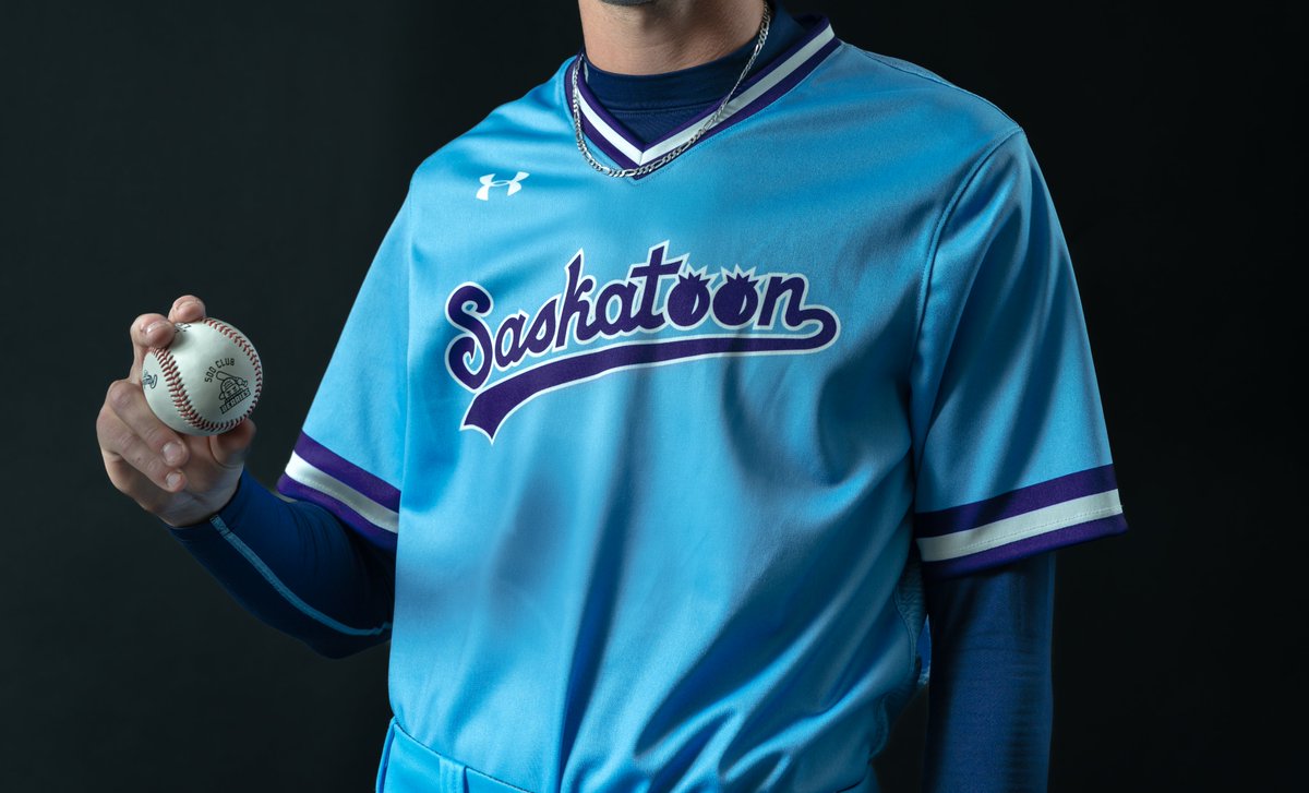 Saskatoon Berries 2024 Season Preview – Tales of Baseball