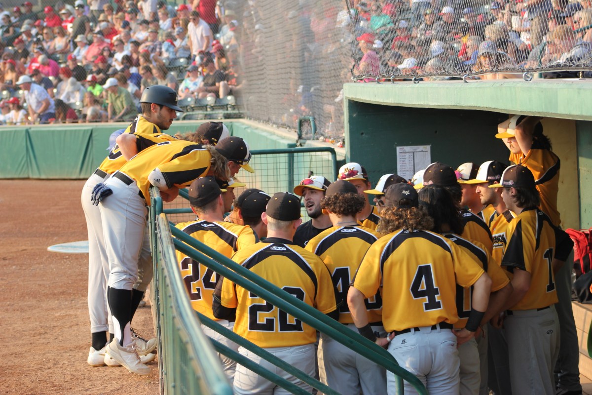 Moose Jaw Miller Express 2024 Season Preview – Tales of Baseball